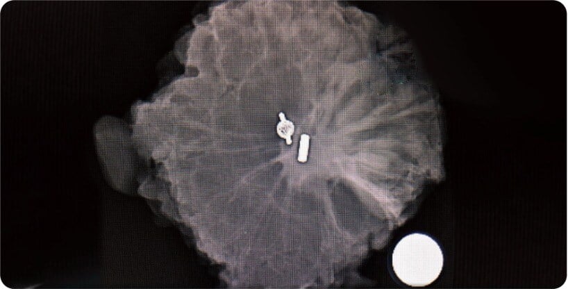 Reasons to Switch to Sirius Pintuition®